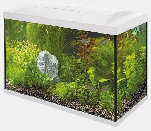 SuperFish Start 70 LED Tropical Kit Wit